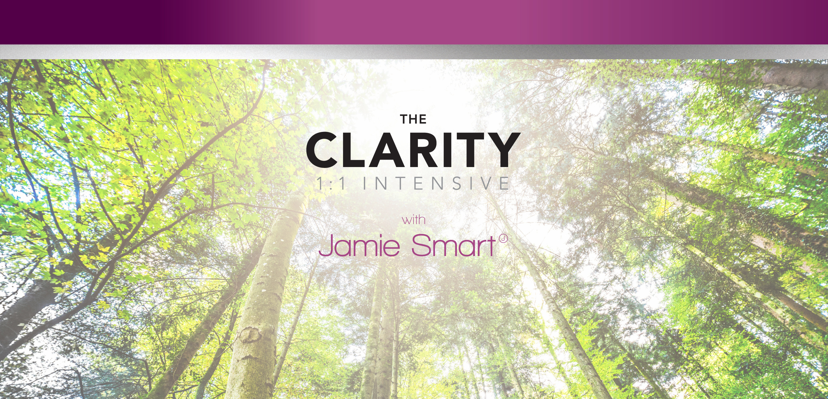 Clarity 1:1 Intensive with Jamie Smart – jamie smart