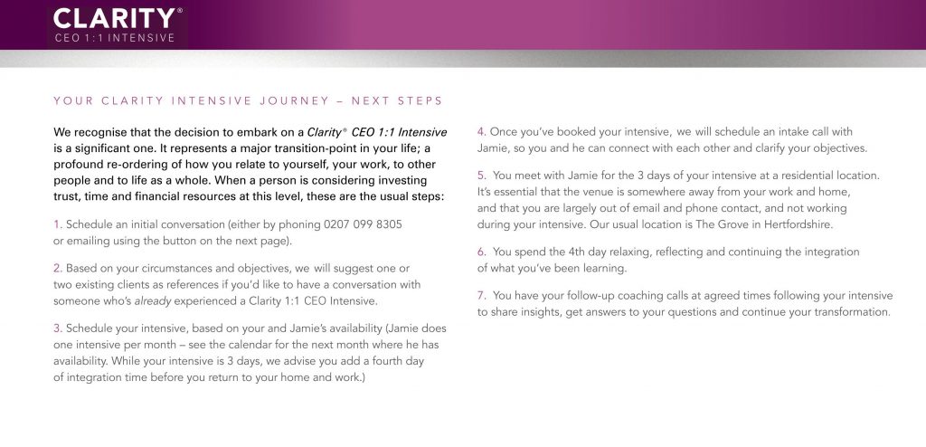 Clarity 1:1 Intensive with Jamie Smart — Jamie Smart